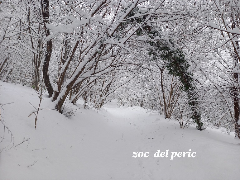 NATURA - Lo 'Zoc del Pieric' è d'incanto sotto la neve. Le foto dall ...