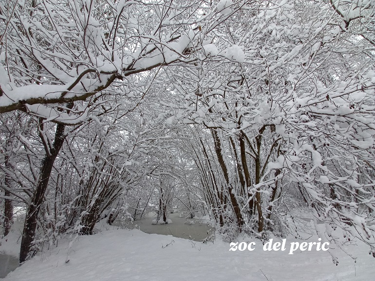 NATURA - Lo 'Zoc del Pieric' è d'incanto sotto la neve. Le foto dall ...
